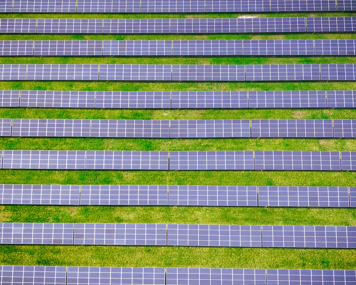 Dorset Solar farm to power London’s iconic landmarks - Business - MOVEMNT